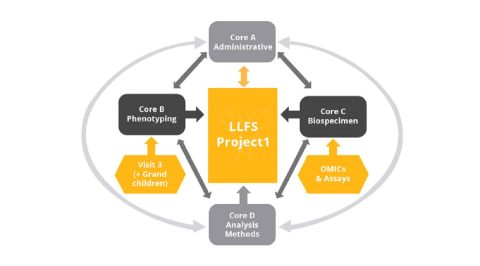 Long Life Family Study | An NIA Study